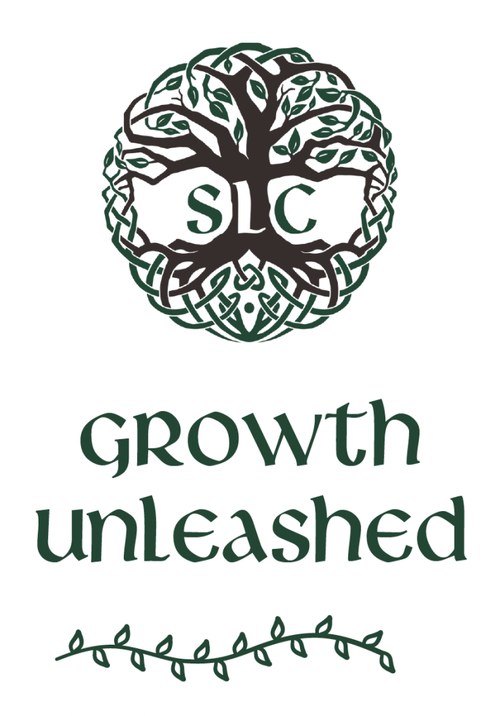 Aspire2Achieve Growth Program - Sierra Learnership